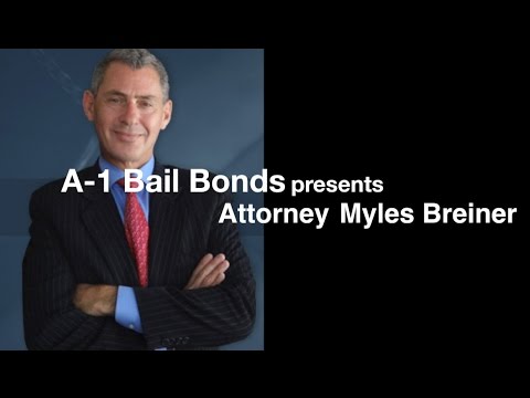 Free legal advice - gotbailhi.com's Nick interviews attorney Myles ...